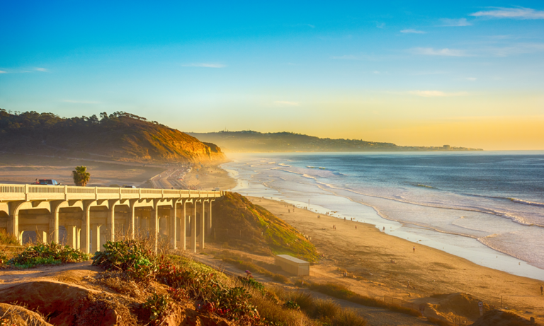 Home – Rescue California